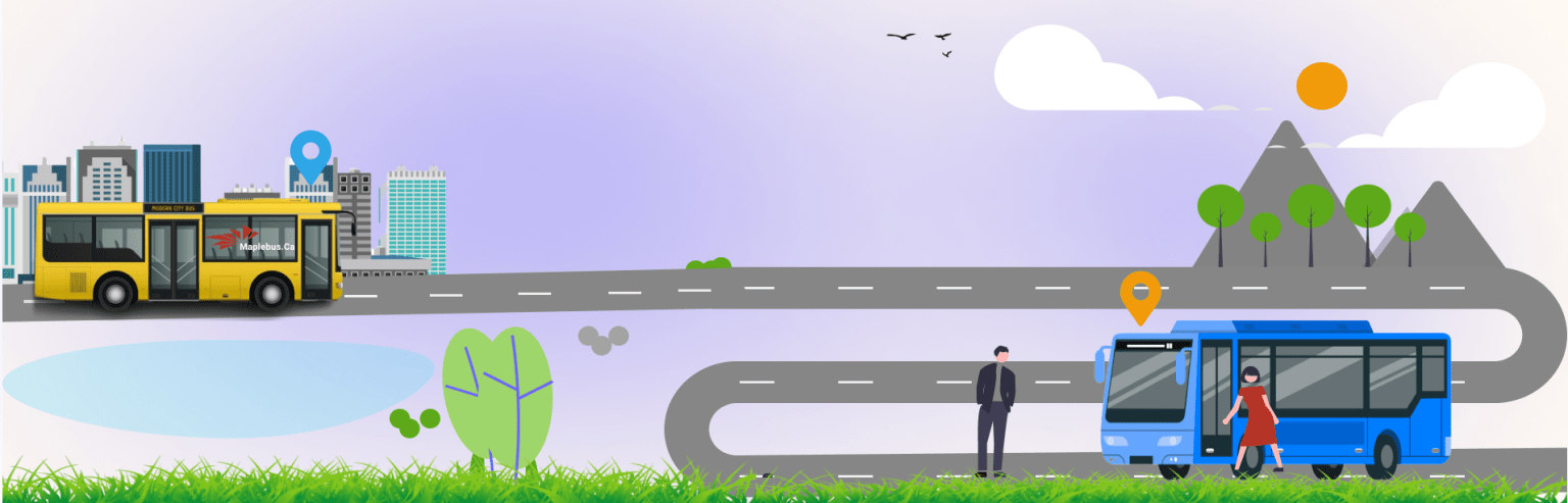 Bus Route Guides - Maple Bus